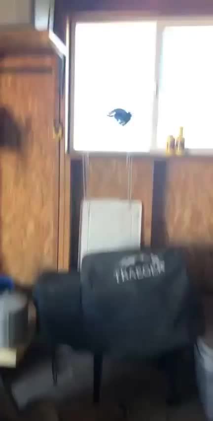 Unhand Me Woman Album On Imgur