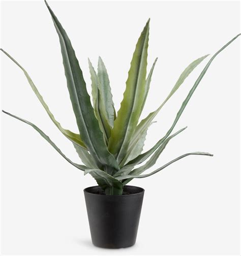 Τεχνητό φυτό Celius Υ39cm πράσινο Jysk