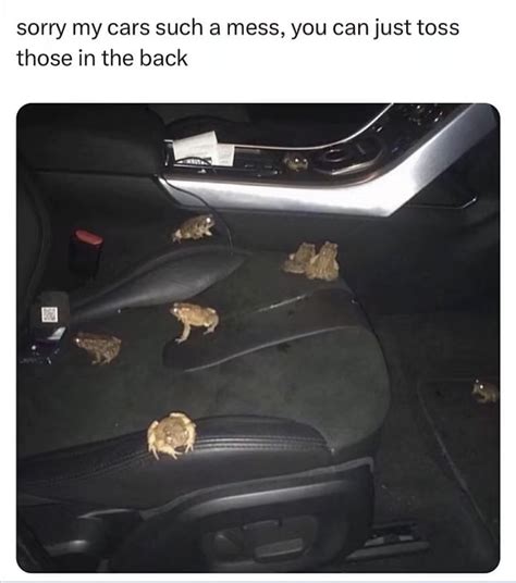 Frog Blank Template Imgflip Frog Blank Template Imgflip