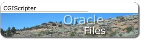 Com Solutions Inc Cgiscripter Files