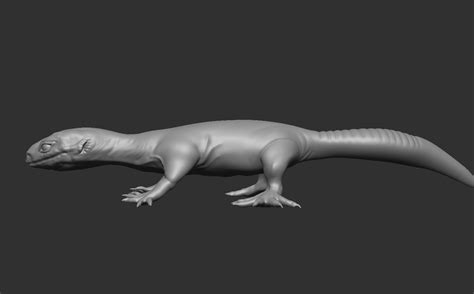 Stl File Low Gecko Lizard Model Stl For Adding Detail 🦎 ・3d Print Design To Download・cults