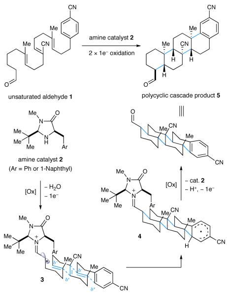 Enantioselective Polyene Cyclization Via Organo Somo Catalysis