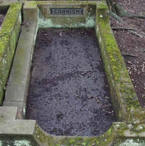 Mary Ann Birch Cornish 1831 1896 Find A Grave Memorial