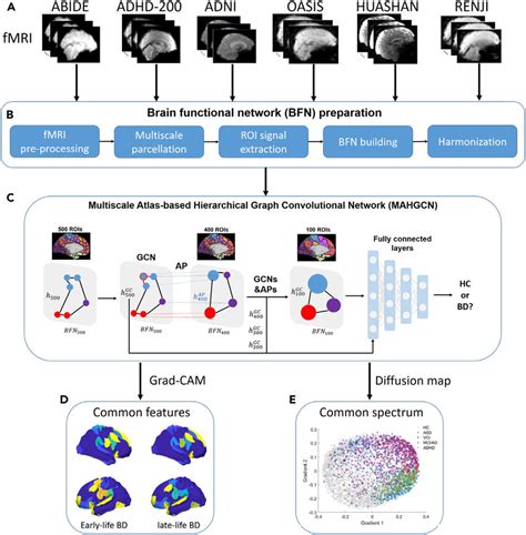 The Workflow Of The Main Analysis Pipeline A The Fmri Data From 6
