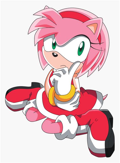 Amy Rose And Sonic Sonic X