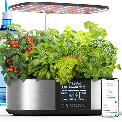 Editor S Pick Best Automated Hydroponic System Of Licorize