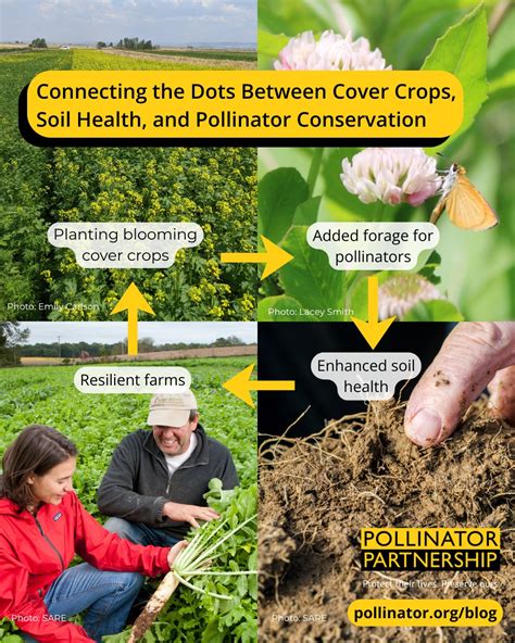 The Pollinator Partnership