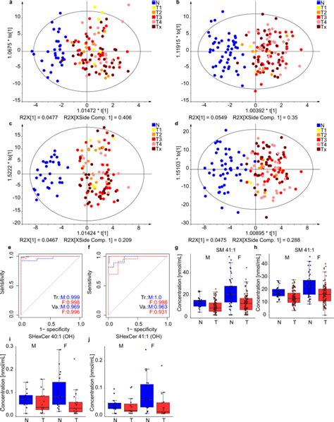 Lipidomic Profiling Of Human Serum Enables Detection Of Pancreatic