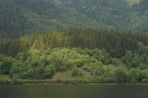 Ass Wallpapers Photos Download The Best Free Ass Wallpapers Stock