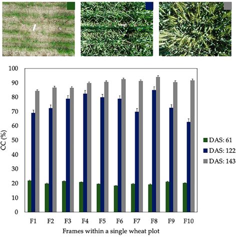 Canopy Cover Cc Values For 10 Frames Within A Single Wheat Plot On Download Scientific