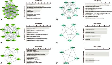 Subnetwork Modules And The Biological Process Of The Differentially