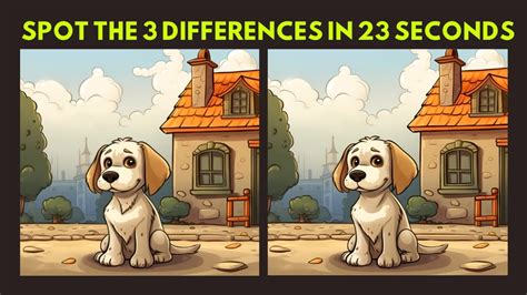 Can You Spot 3 Differences In The Sitting Dog Image In Just 23 Seconds