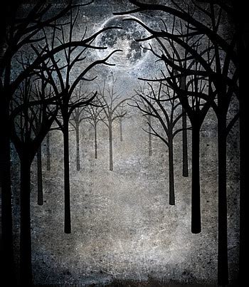 Dark Scary Forest Drawing