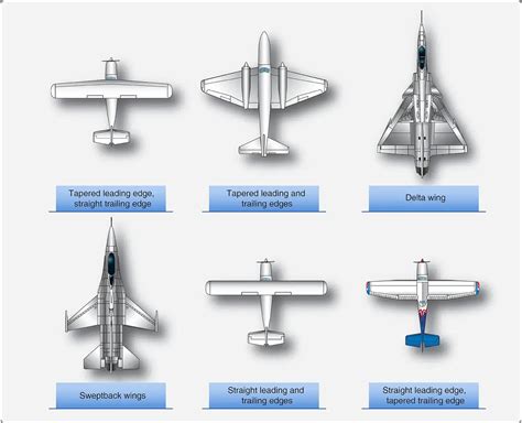 What Are The Three Fundamental Wing Designs Design Talk