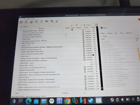 Managed To Get Mod Organiser 2 Working For Steam Deck Rskyrim