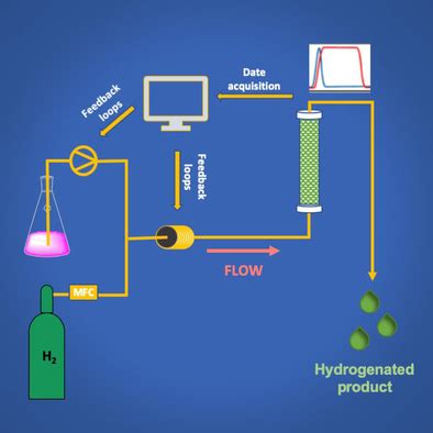 Hydrogenation Process