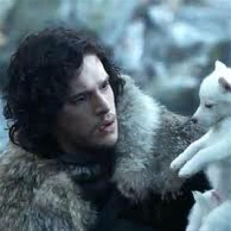 Game Of Thrones Ghost Dire Wolf Jon Snow Direwolves