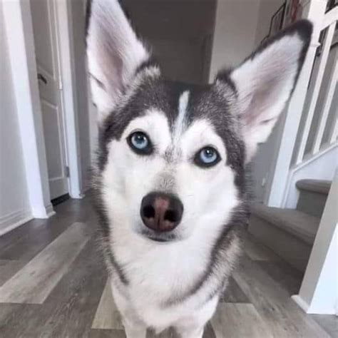 Benjamin A Kopp Frostproof Fl