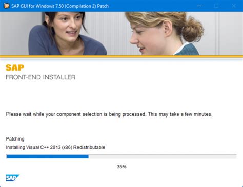 Sap Gui For Windows Boomaine
