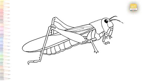 Locust Drawing Easy Insect Drawing Tutorial How To Draw A Locust
