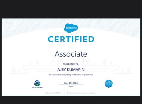 Ajey Kumar On Linkedin Salesforceassociate