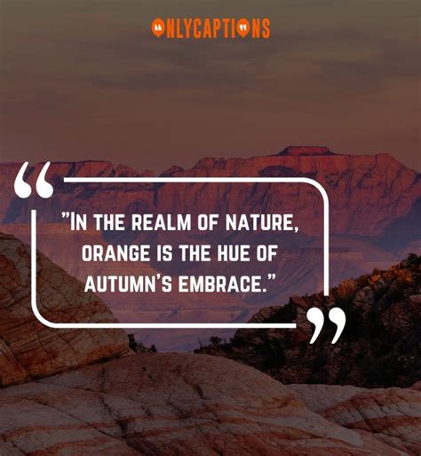 810 Quotes About The Colour Orange 2025 Hidden Meanings