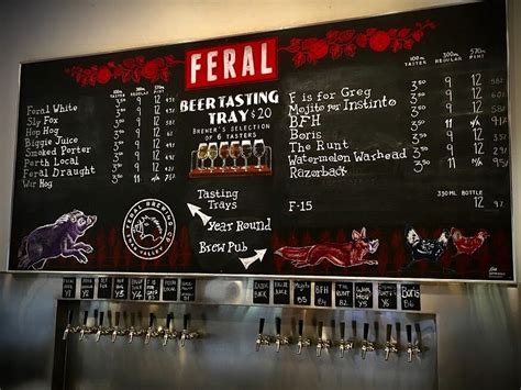 The Brewers Dray Beer Explorer 2025 All You Need To Know Before