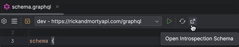 Graphql Webstorm Documentation