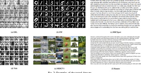 figure 1 from enhanced latent multi view subspace clustering semantic