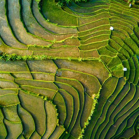 Data— Land And Carbon Lab