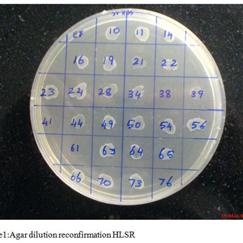 Phenotypic Detection Of High Level Aminoglycoside Resistance Hlar In