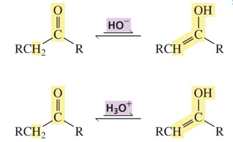 Ochem 2 Ch 17 Flashcards Quizlet