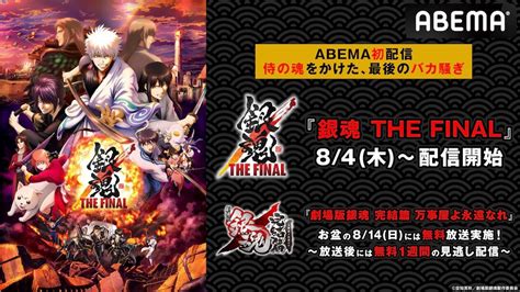 【写真】『銀魂 The Final』がいつでも見放題に！『劇場版銀魂 完結篇』無料放送andお盆の”銀魂”特別編成も実施決定 告知