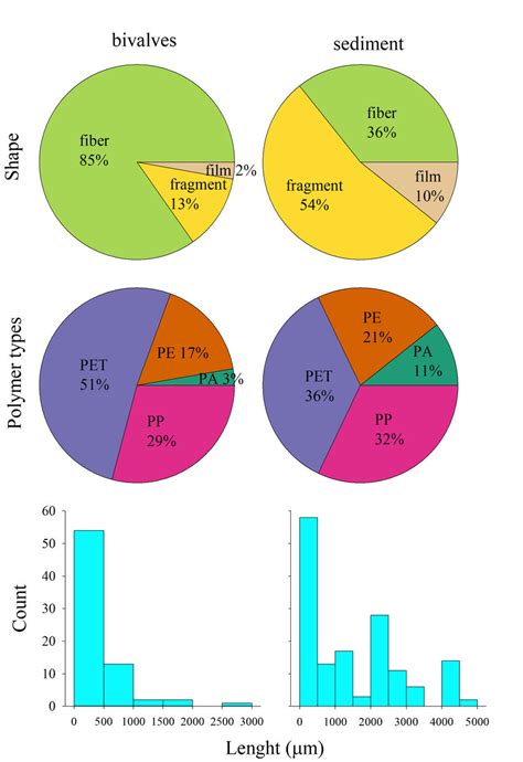 Characterization Of Microplastic Mps Obtained From Sediments And