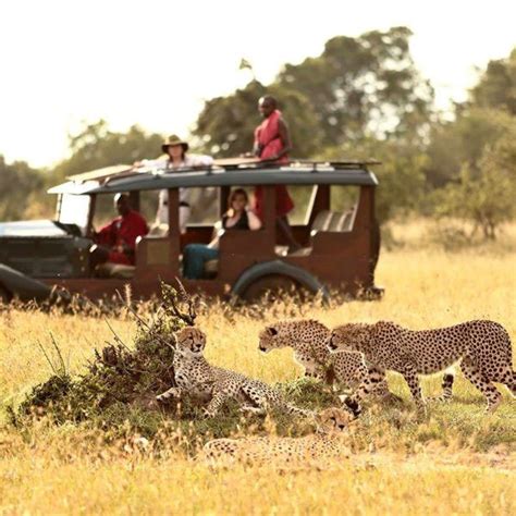 Tanzania Honeymoon Safari Riverstone
