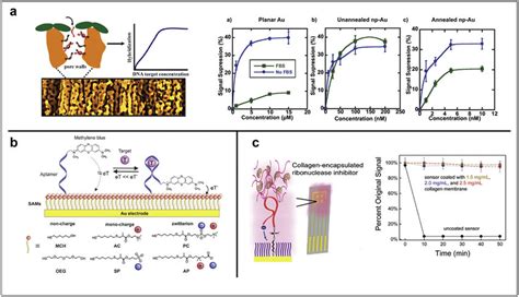 Approaches To Reduce Nucleic Acid Based Sensor Biofouling Download