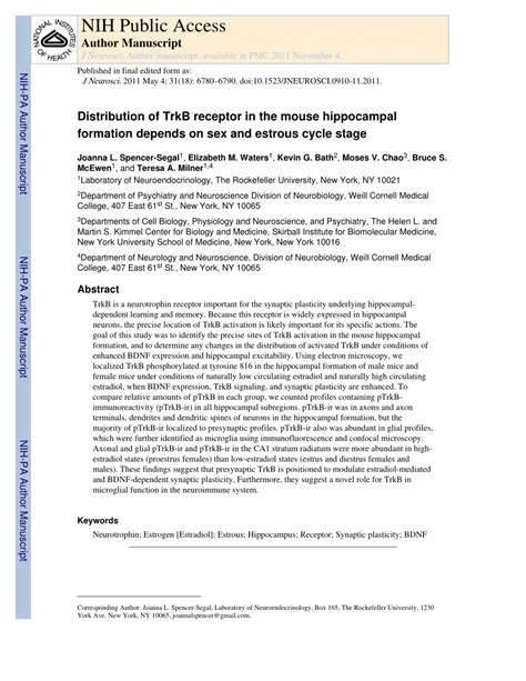 Pdf Distribution Of Phosphorylated Trkb Receptor In The Mouse Hippocampal Formation Depends On