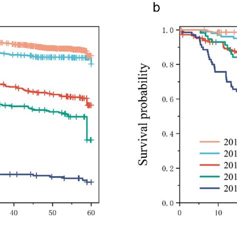 Extra Perigastric Lymph Node Groups Ep Lesser Curvature Lymph Node