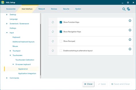 Appearance Configuration In Igel Os 12