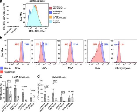 Complement Deposition On Sarcoma Cells A Flow Cytometry Analysis Of