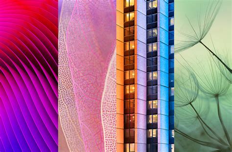 Pre Settled Status To Be Automatically Extended By Two Years