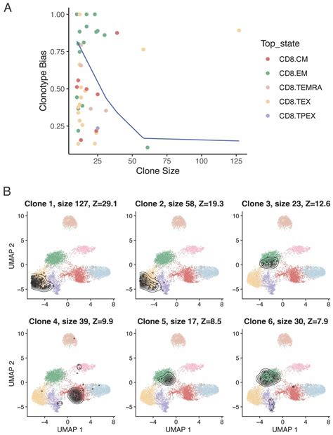 T Cell Clonal Analysis Using Single Cell Rna Sequencing And Reference Maps