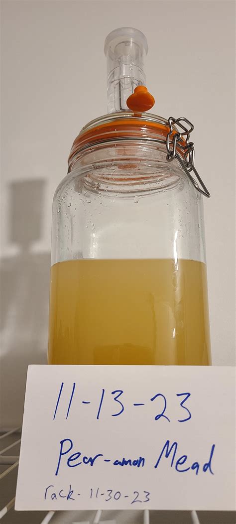 Racking Secondary Fermentation Rmead