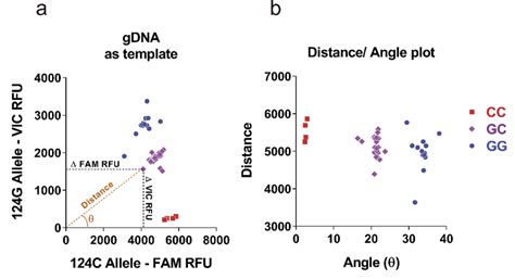 Gdna Can Be Used As Template For Rs8570 Genotyping A Scatter Plot