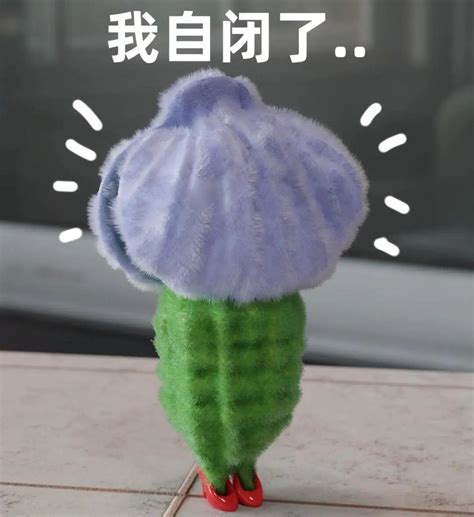 爆火的苦瓜女士表情包这么戏精你还没有吗 哔哩哔哩