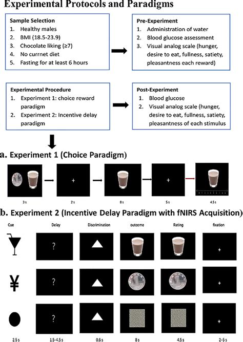 Experimental Protocols And Paradigms A Experiment 1 Employed A Choice Download Scientific