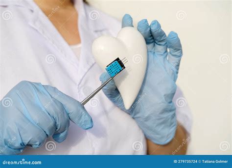 Female Scientist Doctor Holding Heart Model Microprocessor Microchip