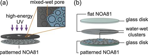 We Conduct Radial Fluid Fluid Displacement Experiments In Microfluidic