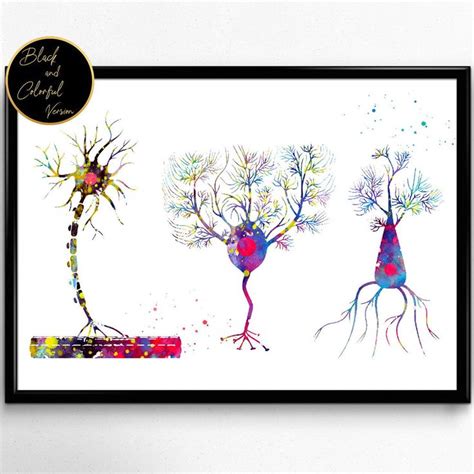 Multipolar Neuron Neurology Medical Art Science Posterbrain