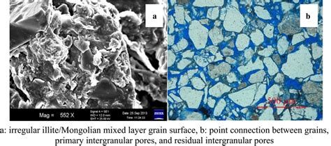 Scanning Electron Microscope Image Of Rock Samples Download